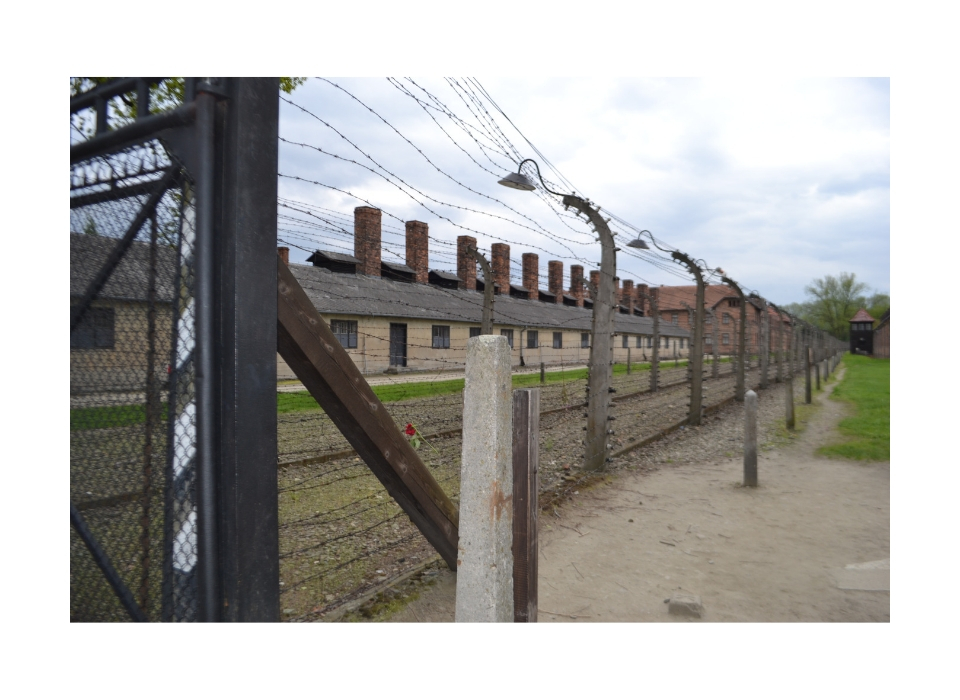 Reflecting on the Liberation of Auschwitz-Birkenau | The National WWII ...