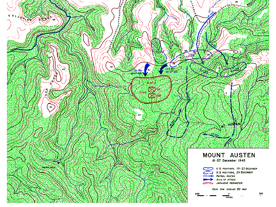 Forgotten Fights: The Battle for Guadalcanal's Mount Austen, 1942 | The ...