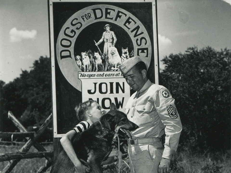 Dog Day Afternoon | The National WWII Museum | New Orleans
