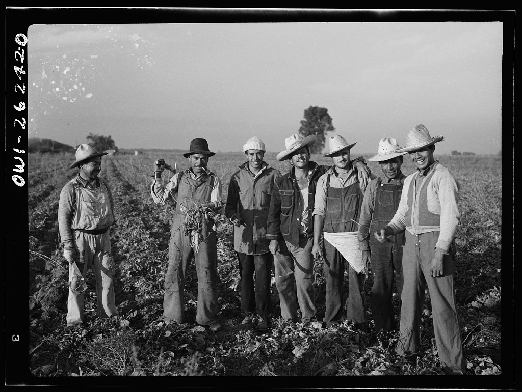 Dinner with a Curator: "Cultivating Unity: The Bracero Program in World ...