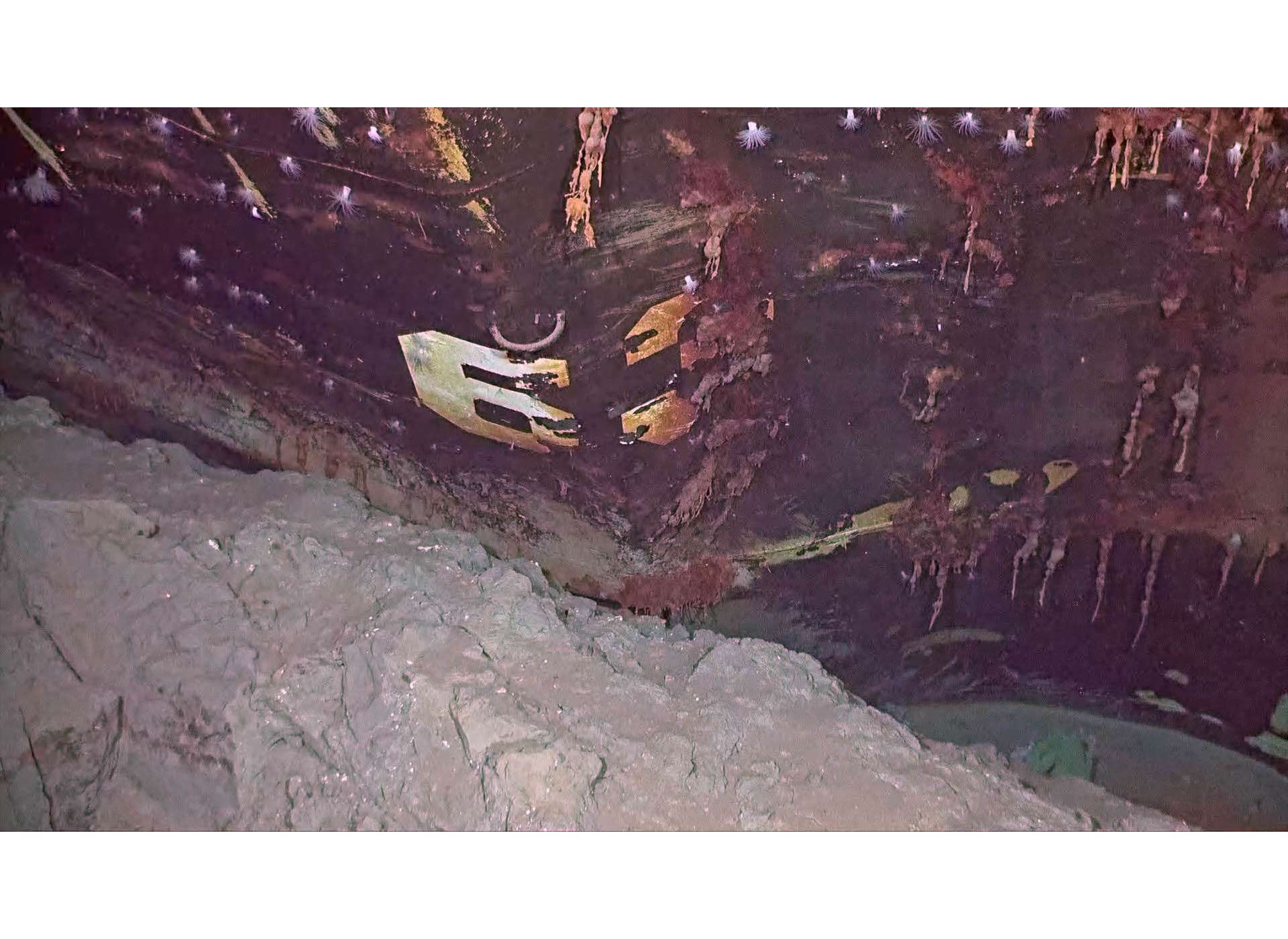 Eyewitness to the Battle off Samar and the Loss of the USS St. Lo | The ...