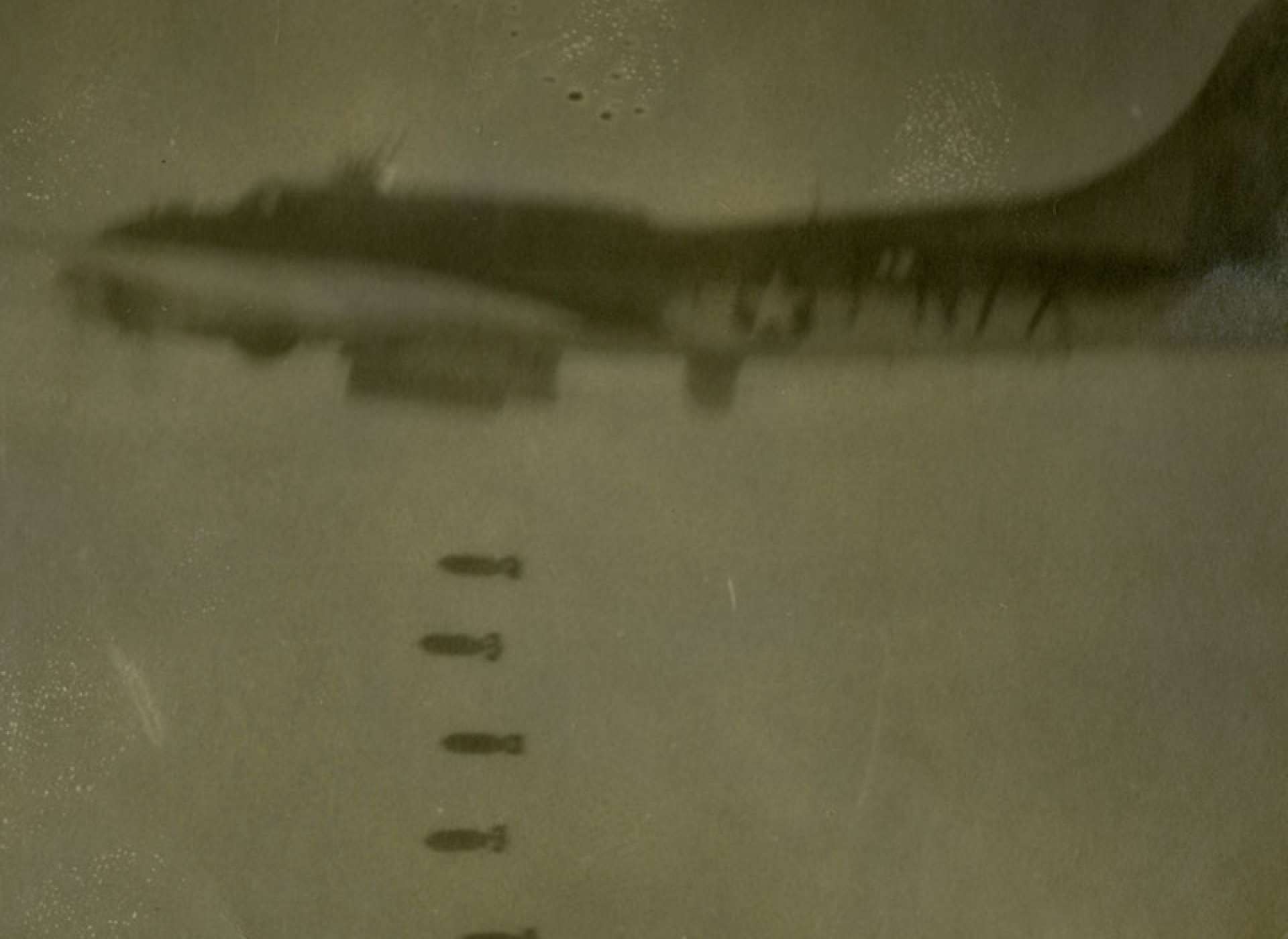 Assaulting the Reich: The Boeing B-17 Flying Fortress | The National ...